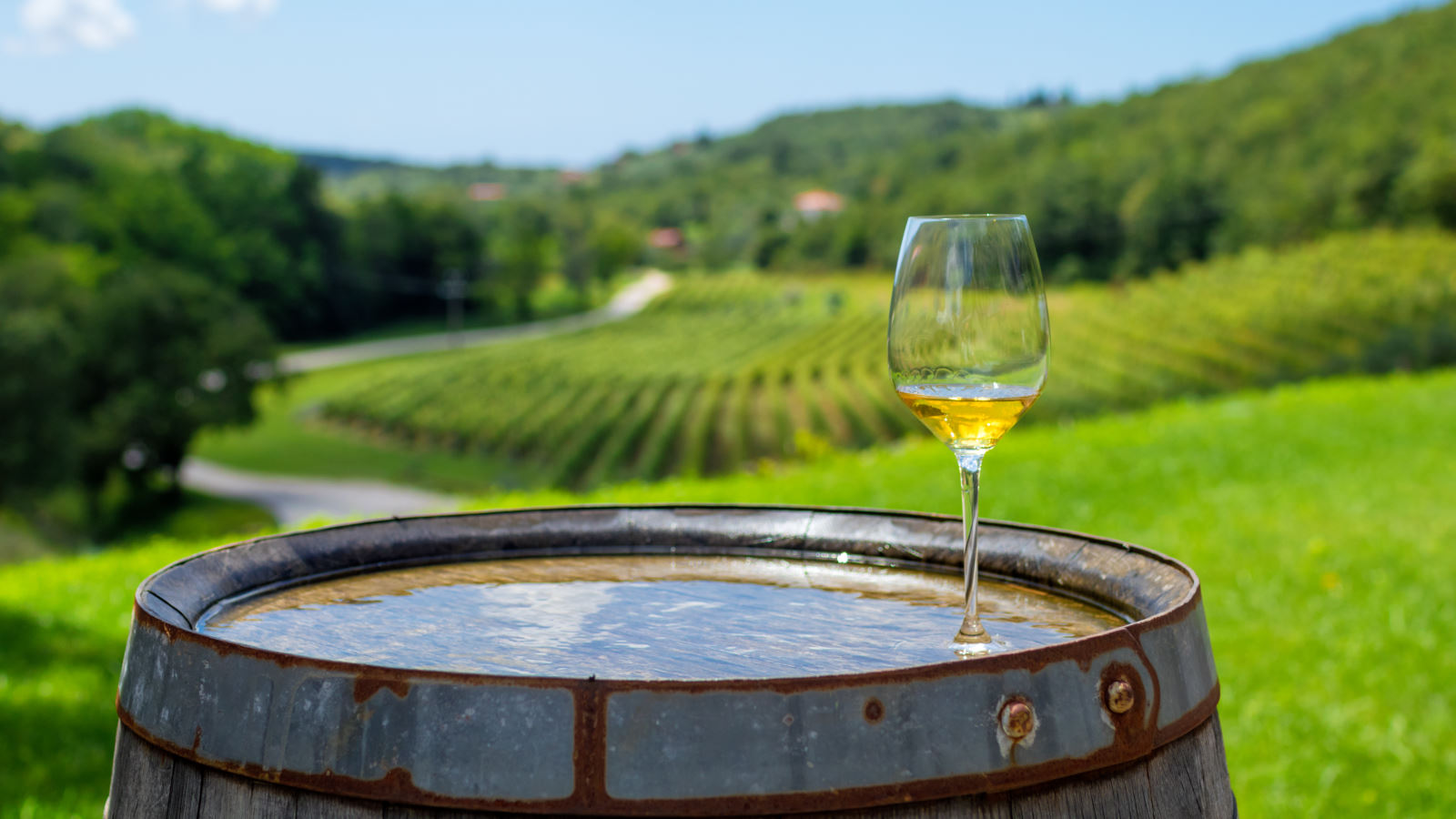 Istrian Wines - an Invaluable Part of Istrian Gastronomy - Villas Holiday